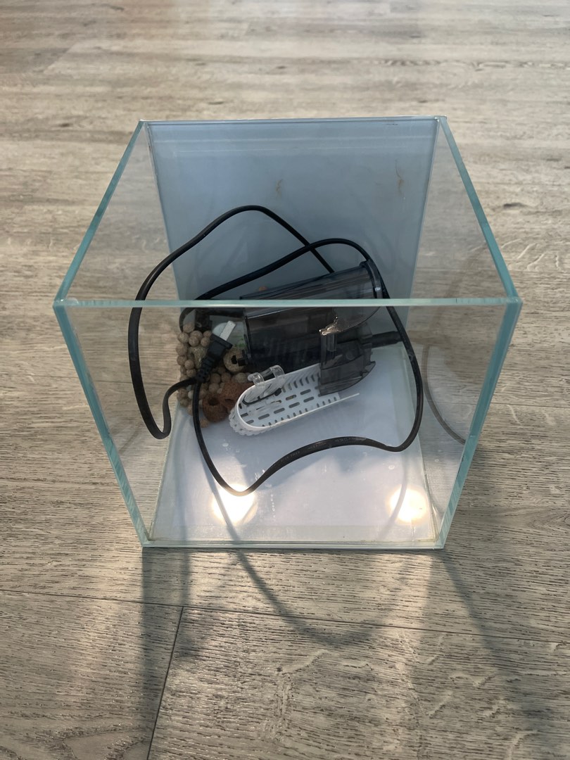 20cm cube tank with mini HOB, Pet Supplies, Homes & Other Pet ...