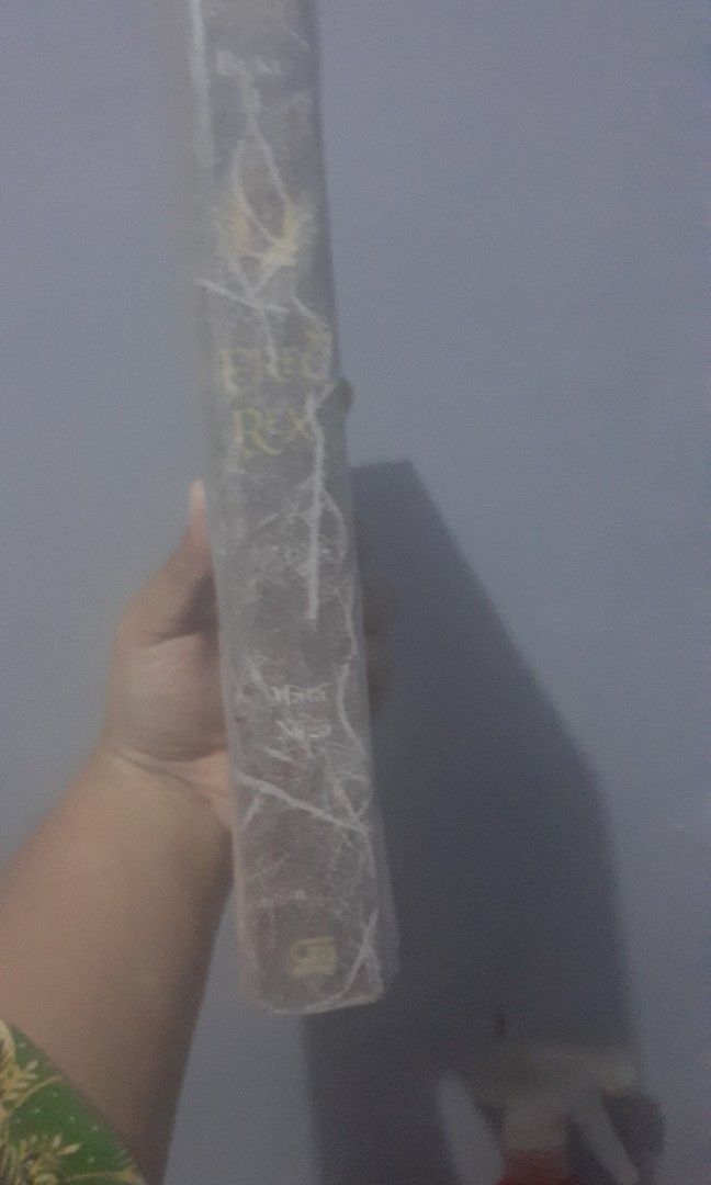 EREC REX THE DRAGON EYE, Buku & Alat Tulis, Buku di Carousell