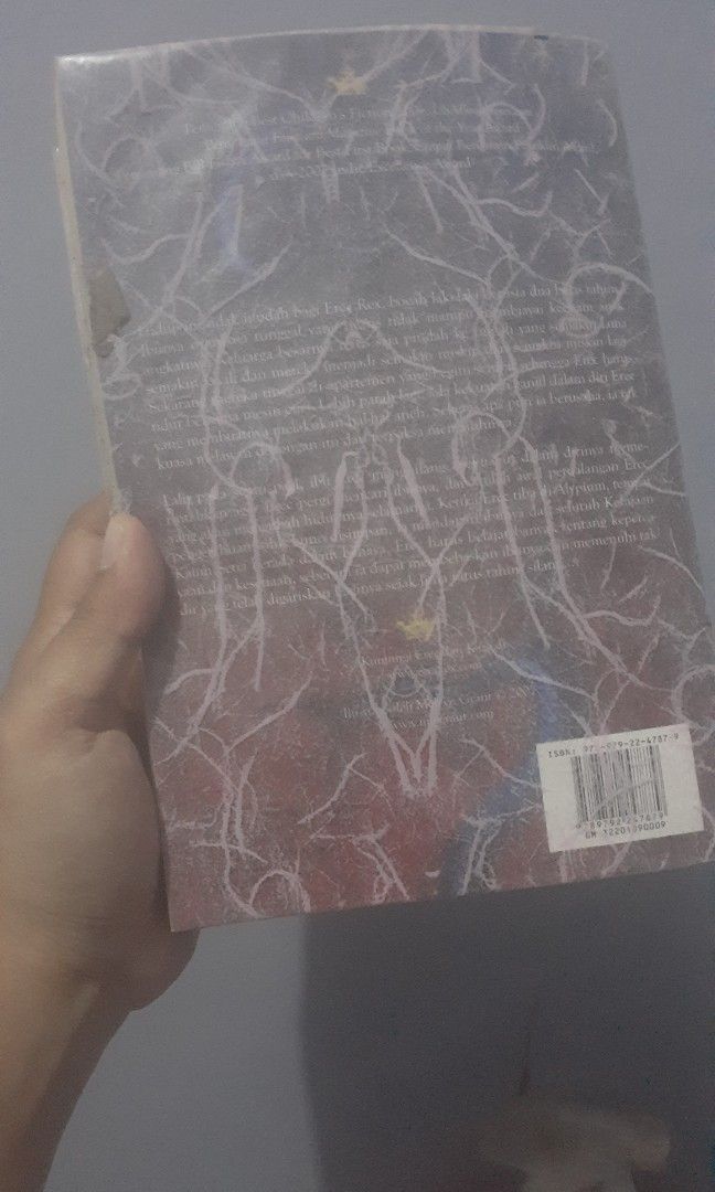 EREC REX THE DRAGON EYE, Buku & Alat Tulis, Buku di Carousell