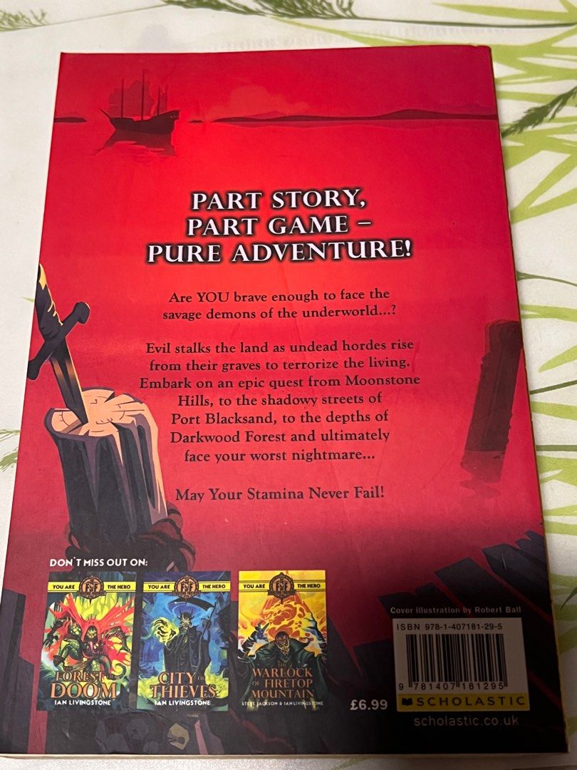 fighting Fantasy The Port of Peril, Hobbies & Toys, Books & Magazines ...