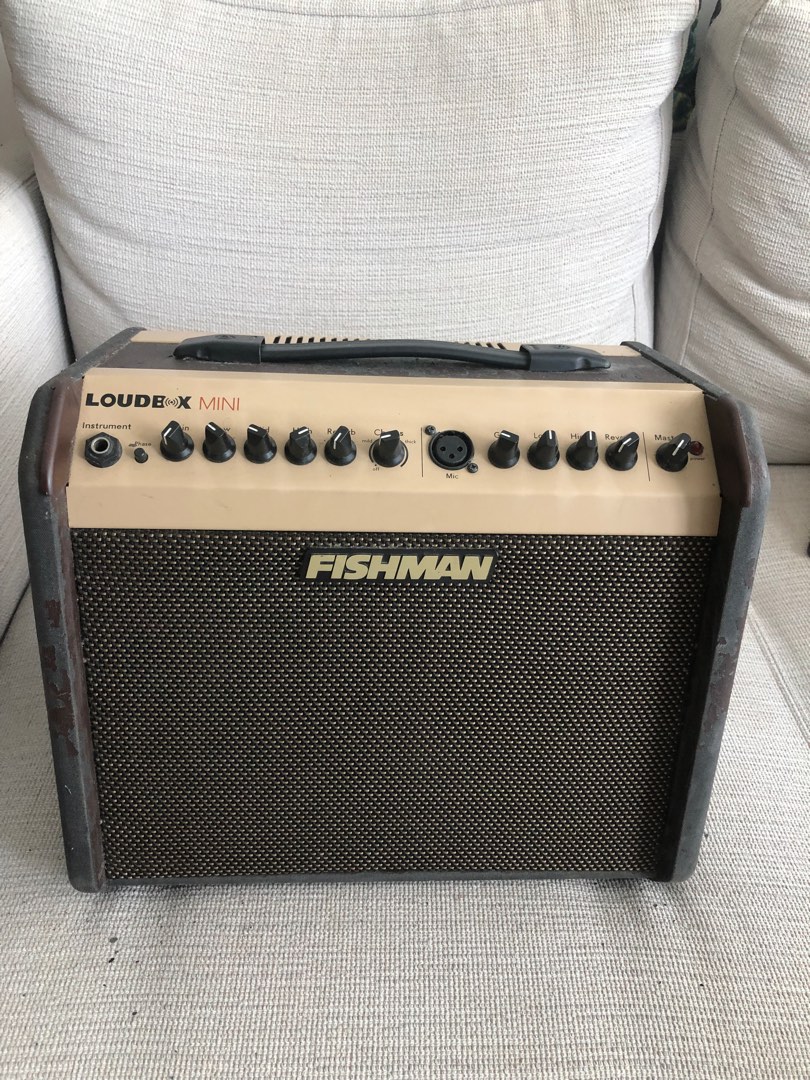 Fishman Loudbox Mini, Hobbies & Toys, Music & Media, Musical ...