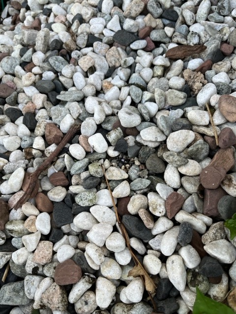 Garden pebbles (8 bags), Furniture & Home Living, Gardening, Garden ...