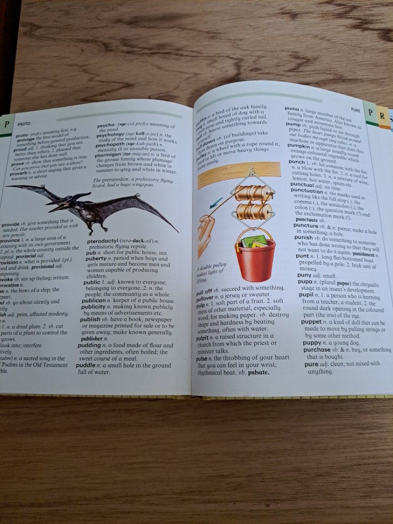 Grolier illustrated dictionary, Hobbies & Toys, Books & Magazines ...