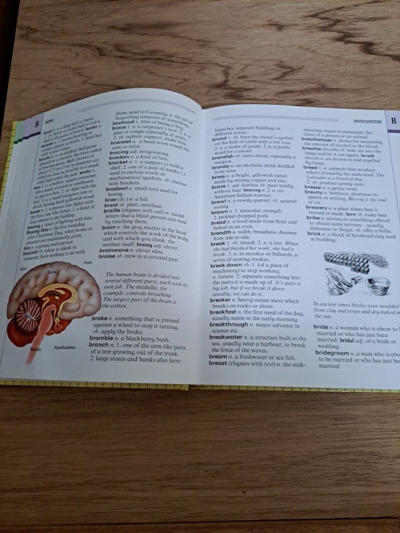 Grolier illustrated dictionary, Hobbies & Toys, Books & Magazines ...