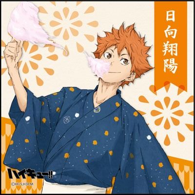 Haikyuu!! Mini Stand Summer Festival Shikishi Trading Boards - Karasuno ...