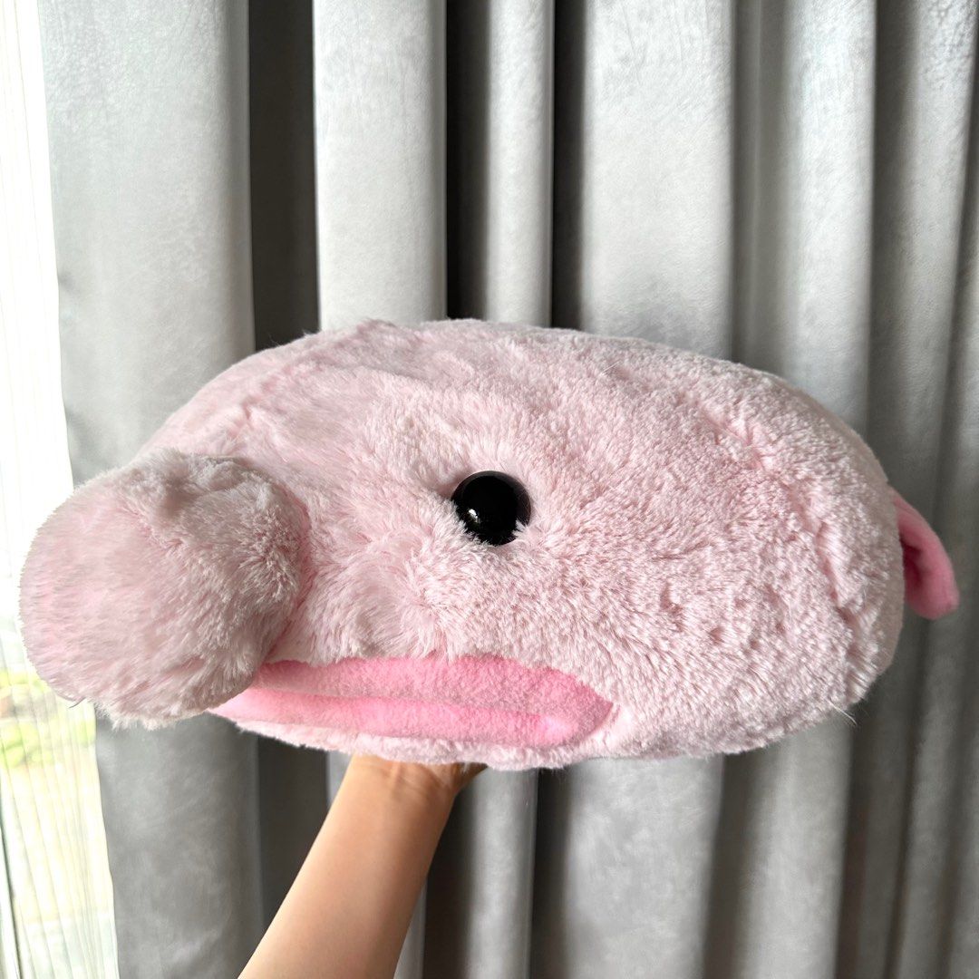 Hashtag Collectibles - Stuffed Blobfish Plushie (LARGE), Hobbies & Toys ...