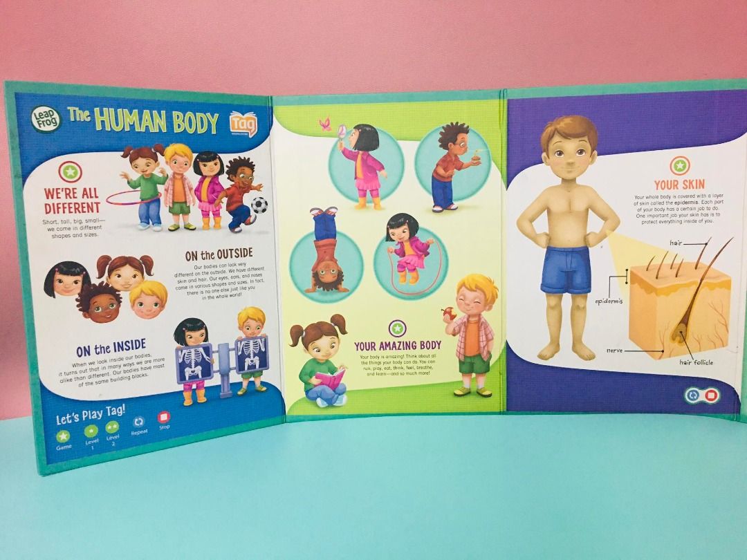 Leap Frog The Human Body Board Folds with Card Certificates (30 pcs ...