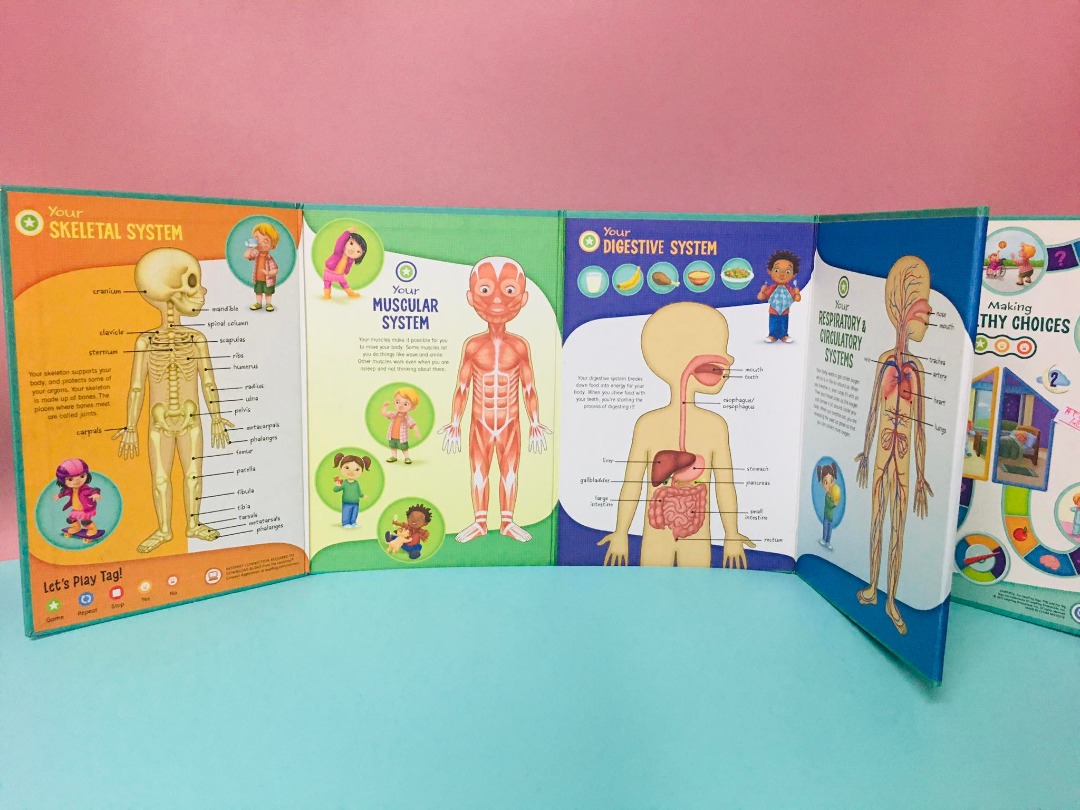 Leap Frog The Human Body Board Folds with Card Certificates (30 pcs ...