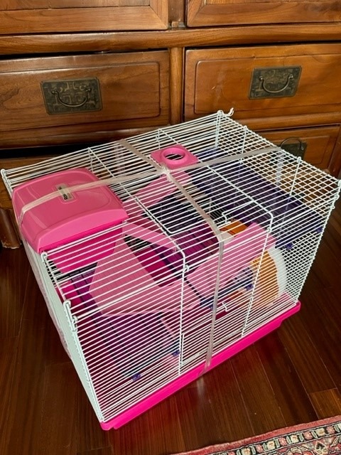 multilevel cage with 22 cm wheel and water bottle, Pet Supplies, Homes ...