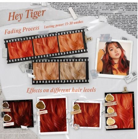 Non-Damaging Semi-Permanent Hair Dyes SPI2579, Beauty & Personal Care ...