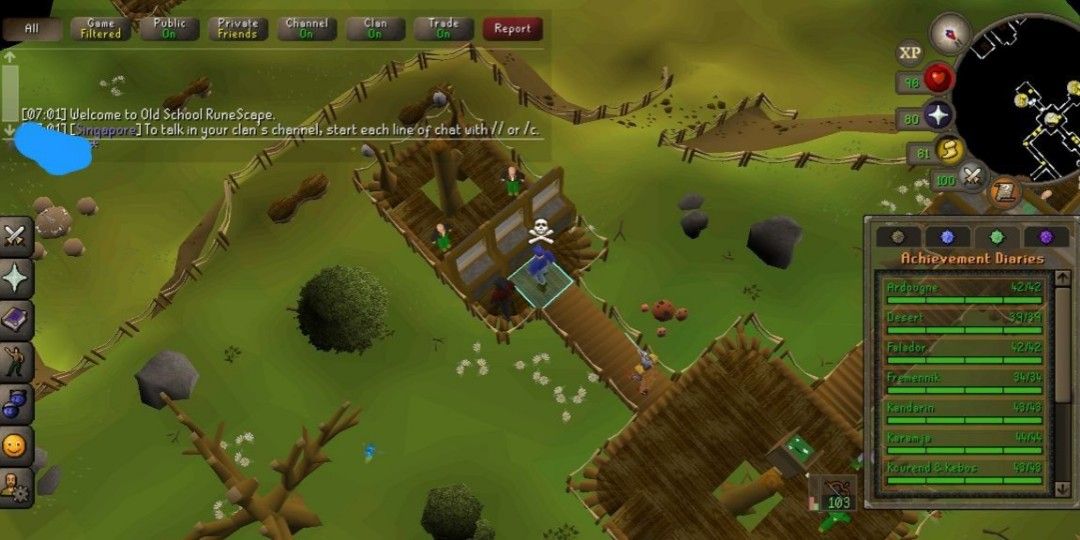 Osrs MAXED ironman, All raids done. 8.5b bank, Video Gaming, Gaming ...