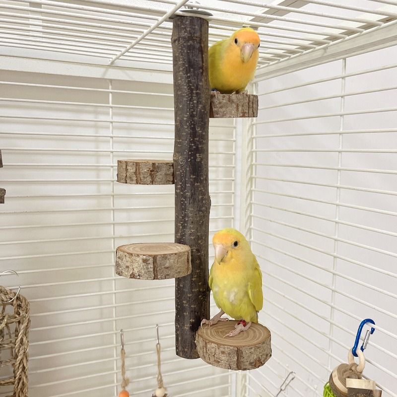 Parrot Bird Perching Wood | Solid Wood | Climbing Toy | Rotating Branch ...