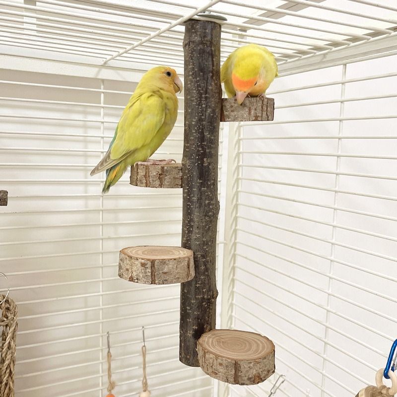 Parrot Bird Perching Wood | Solid Wood | Climbing Toy | Rotating Branch ...