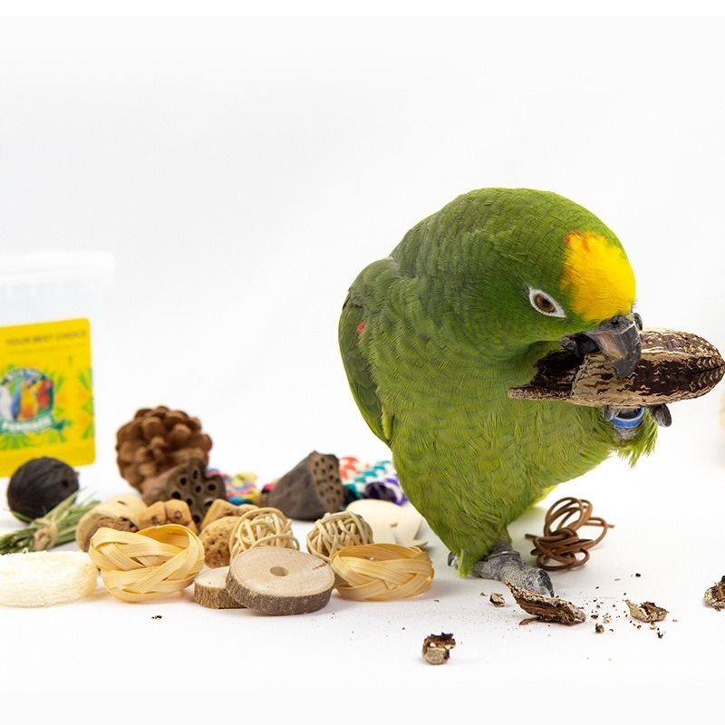 Parrot Natural Gnawing Toy | Teeth Grinding Mouth | Vent Toy | Anti ...