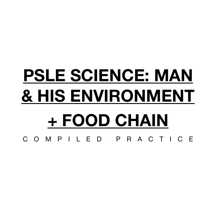 PSLE SCIENCE: MAN & HIS ENVIRONMENT/ FOOD CHAIN ULTIMATE COMPILED ...