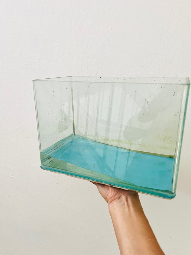Rounded edged Glass Fish Tank (30cm x 20cm x 16cm), Pet Supplies, Homes ...