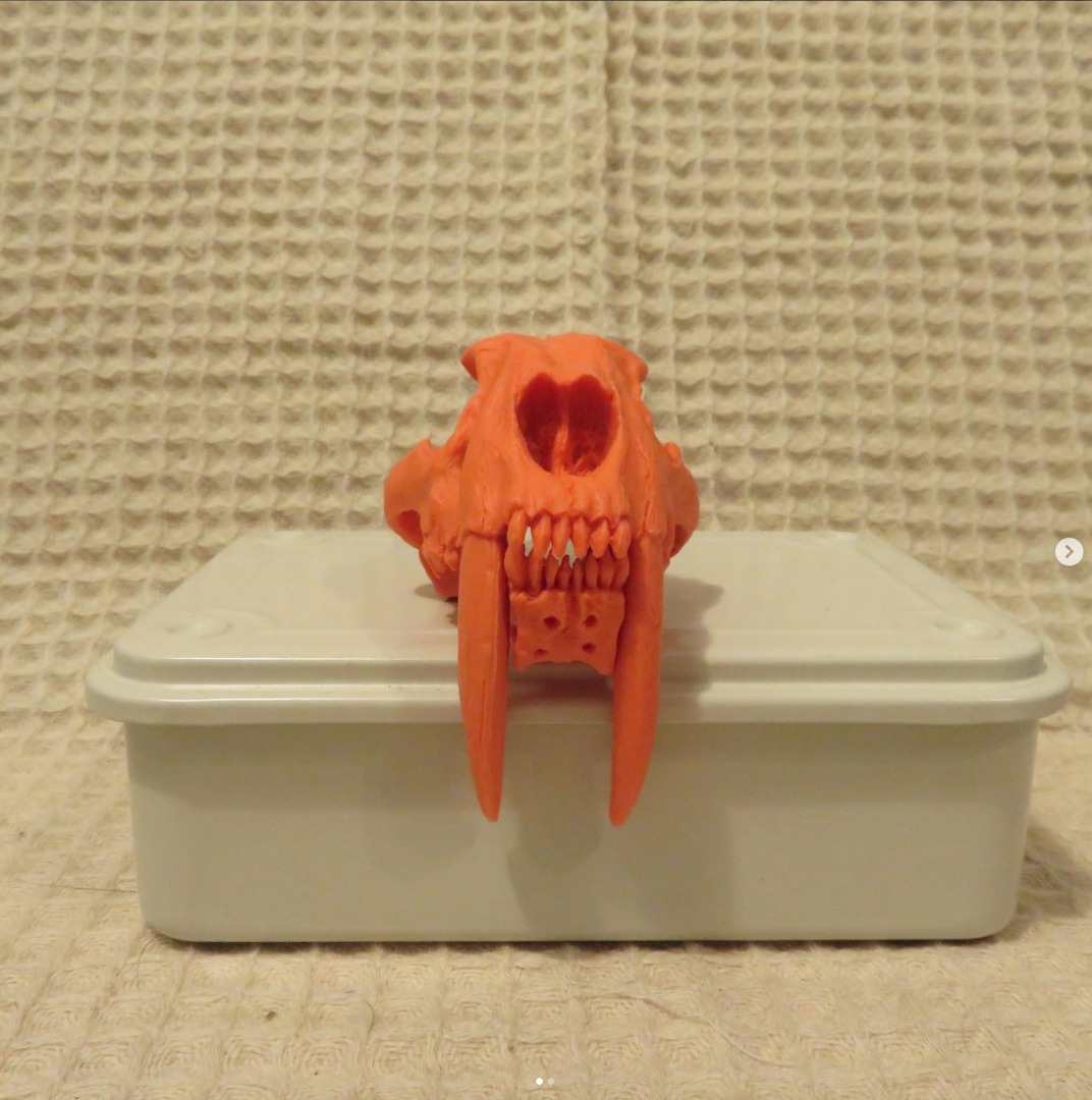 Saber-tooth tiger - eraser, Furniture & Home Living, Home Decor, Other ...