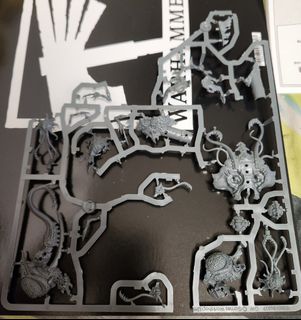 Warhammer 40k leviathan Tyranid Barbgaunts, Hobbies & Toys, Toys ...