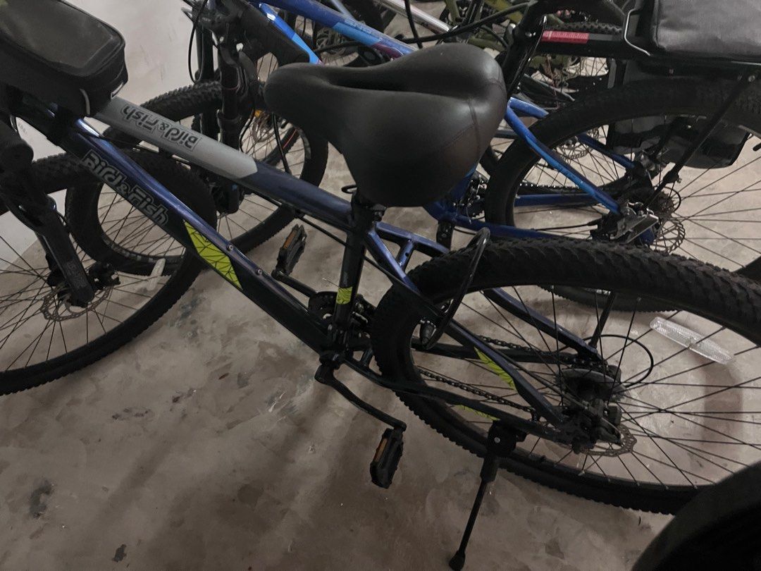 Bird & Fish 29 inches 24 gears, Sports Equipment, Bicycles & Parts ...