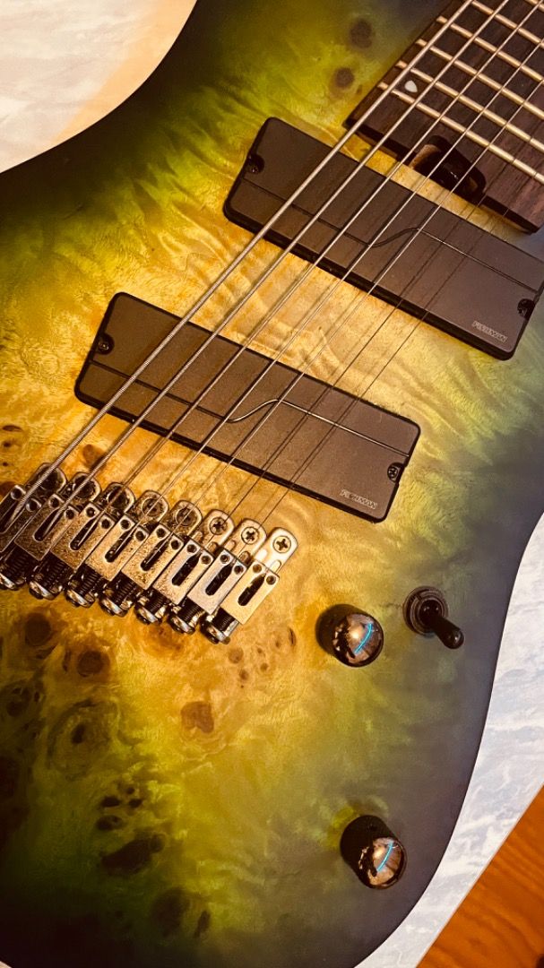 8 string Multiscale Fishman Pickups fanned fret cort locking tunners ...