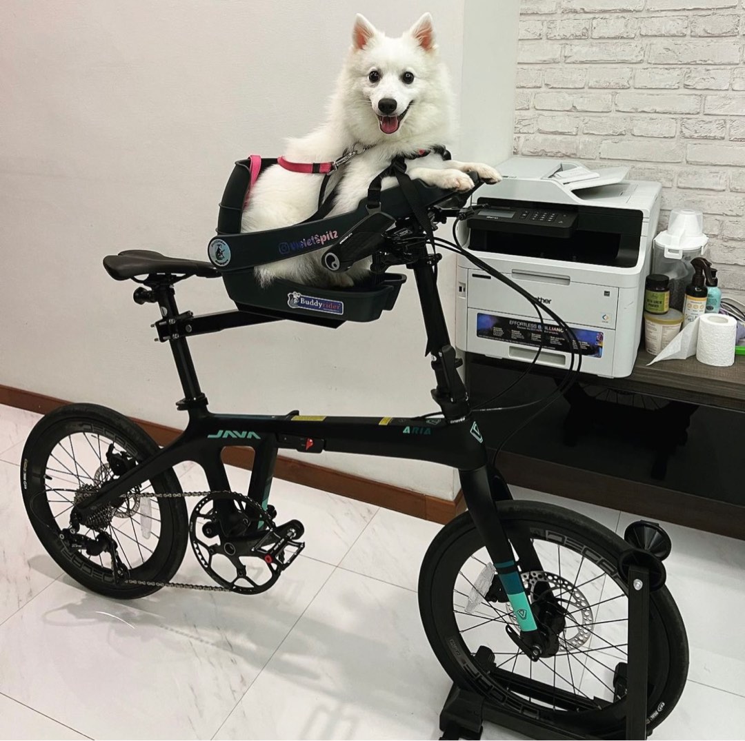 Buddyrider - Pet Bicycle Seat, Pet Supplies, Homes & Other Pet ...