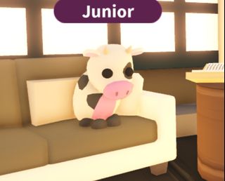 roblox avatar items from adopt me, 其他, 其他 - Carousell