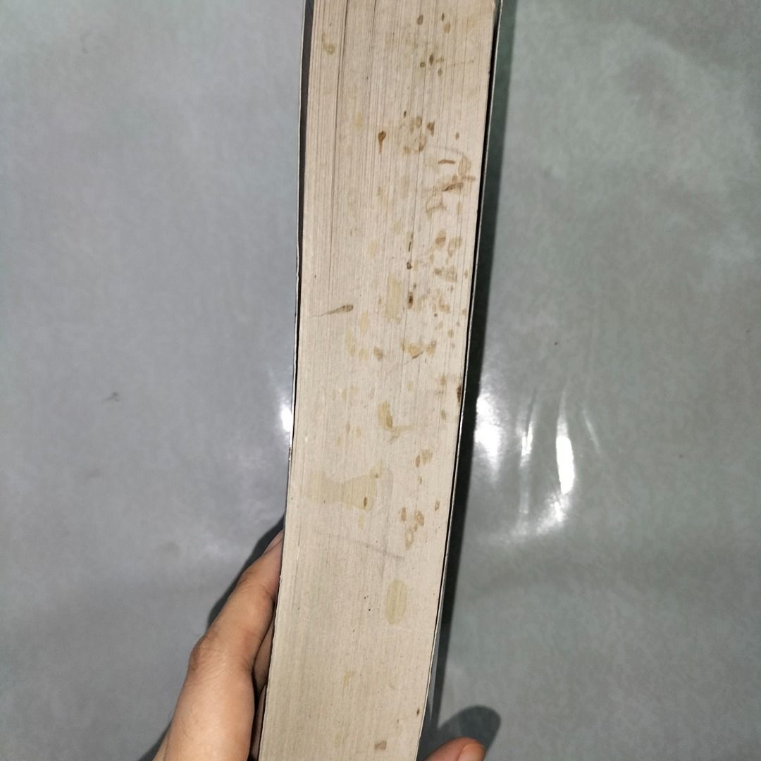 CPA Examination Reviewer Auditing Theory by Roque, Hobbies & Toys ...