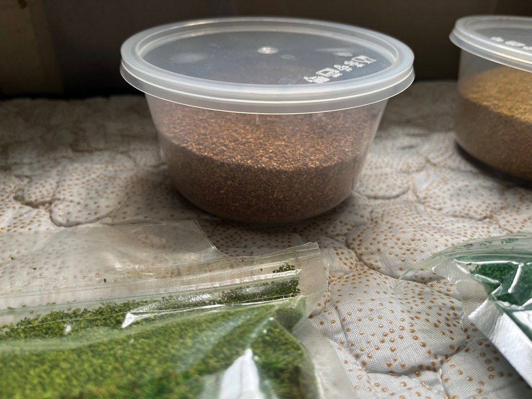 Diorama Fallen Leaves/Tree Leaves, Hobbies & Toys, Stationery & Craft ...