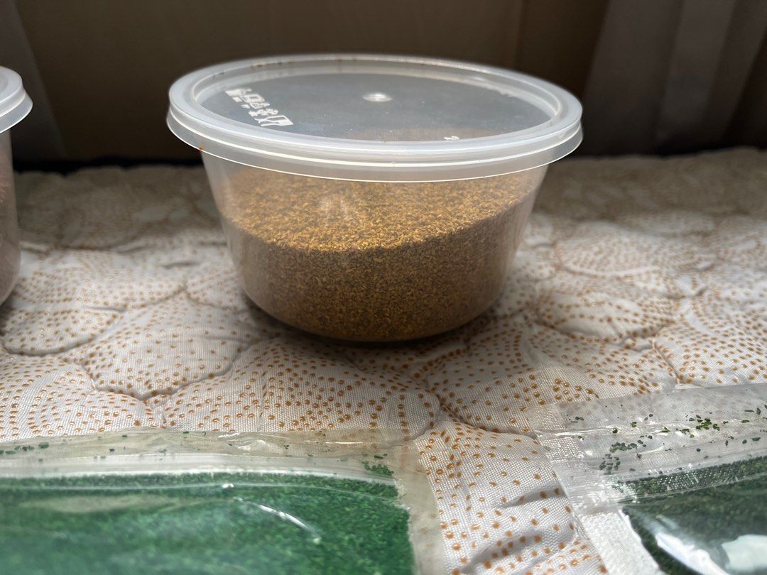 Diorama Fallen Leaves/Tree Leaves, Hobbies & Toys, Stationery & Craft ...