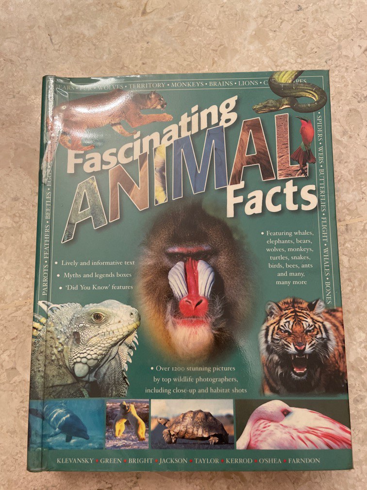 Fascinating Animal Facts, Hobbies & Toys, Books & Magazines, Children's ...