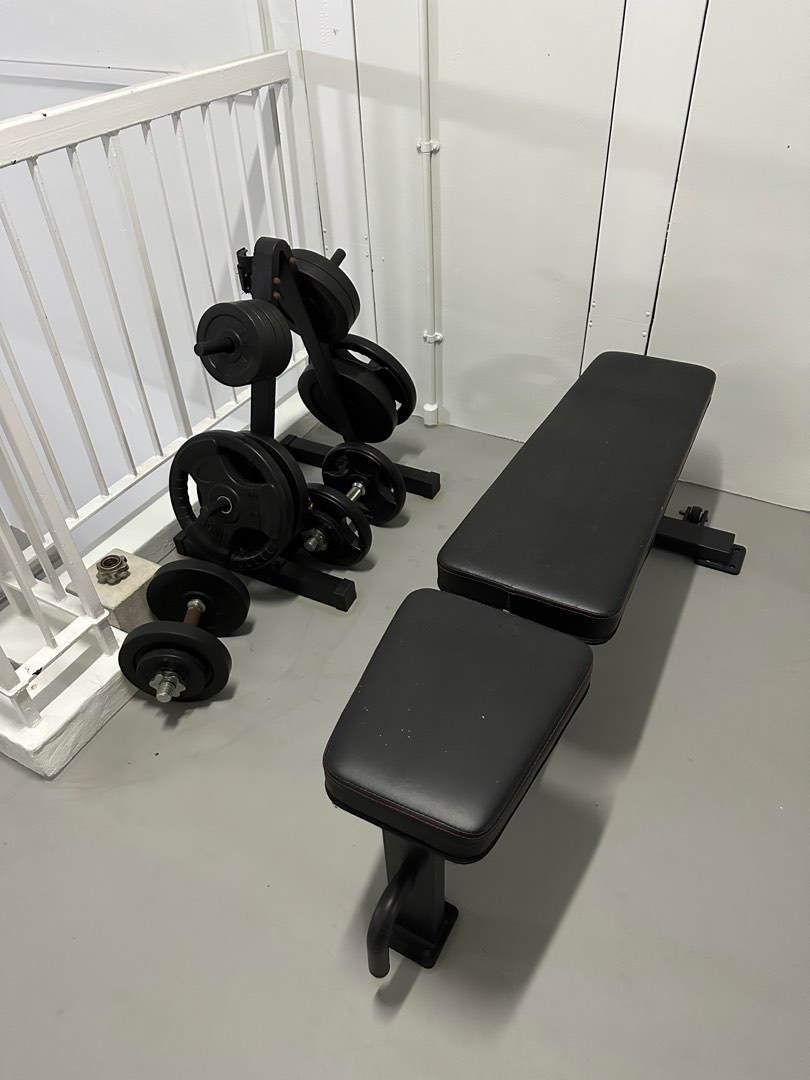 Gym bench, weights, weight tree, Sports Equipment, Exercise & Fitness ...