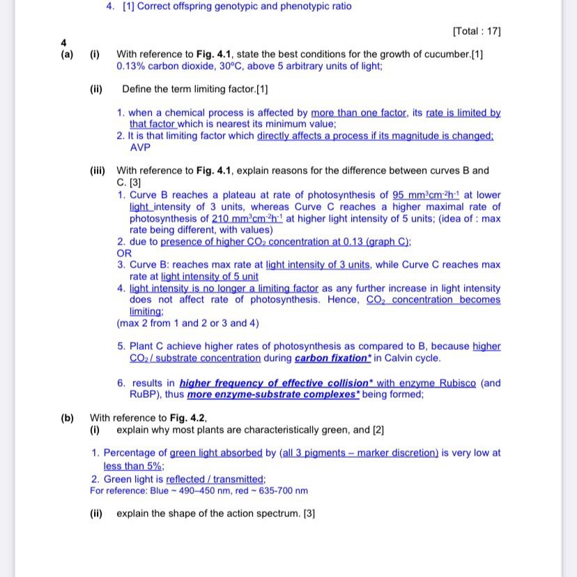 H2 BCME Revision Bundle - Practice Papers with Comprehensive Notes and ...