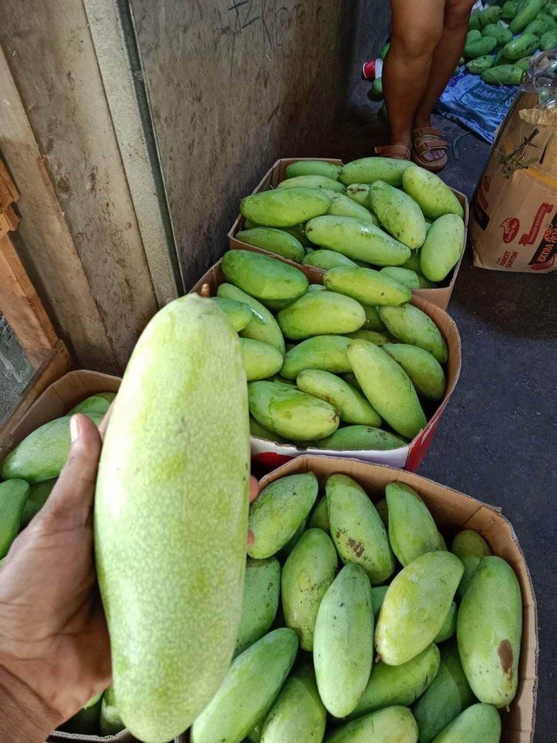 King Mango Per Bundle, Food & Drinks, Fresh Produce on Carousell