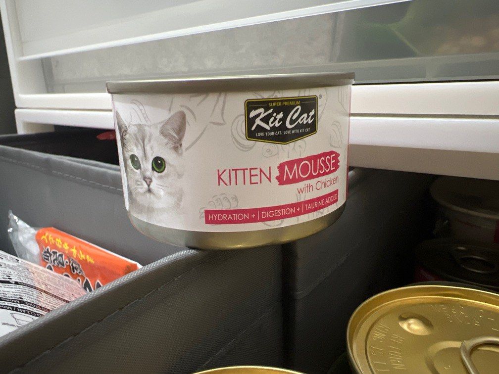 Kit Kat Kitten Moose, Pet Supplies, Pet Food on Carousell