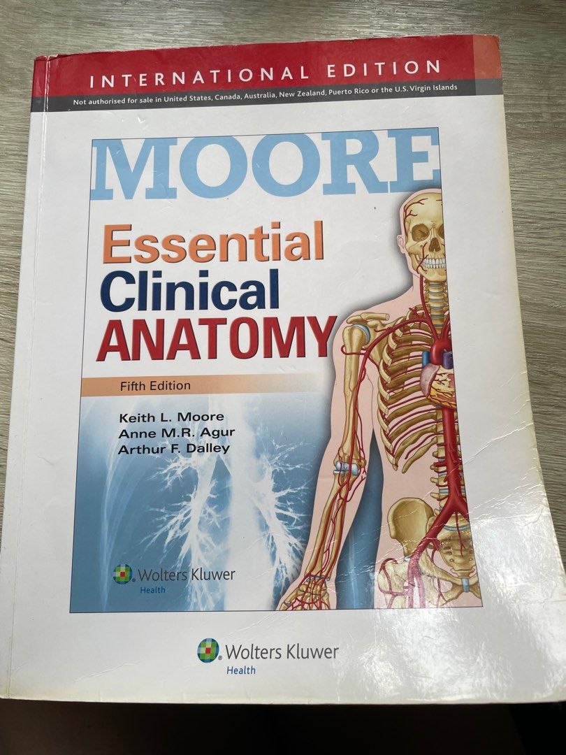 Moore Clinical Anatomy Fifth Edition, Hobbies & Toys, Books & Magazines ...