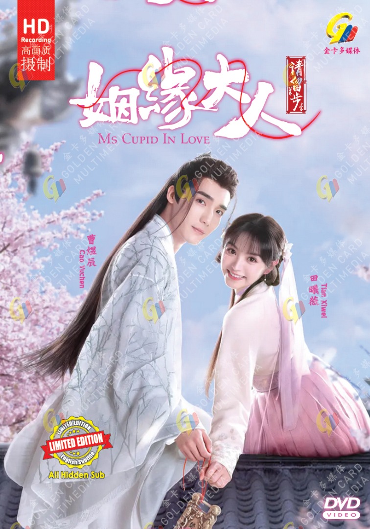 Ms Cupid In Love 姻缘大人请留步 HD Recording China TV Drama DVD Subtitle English Chinese RM99.90 ...