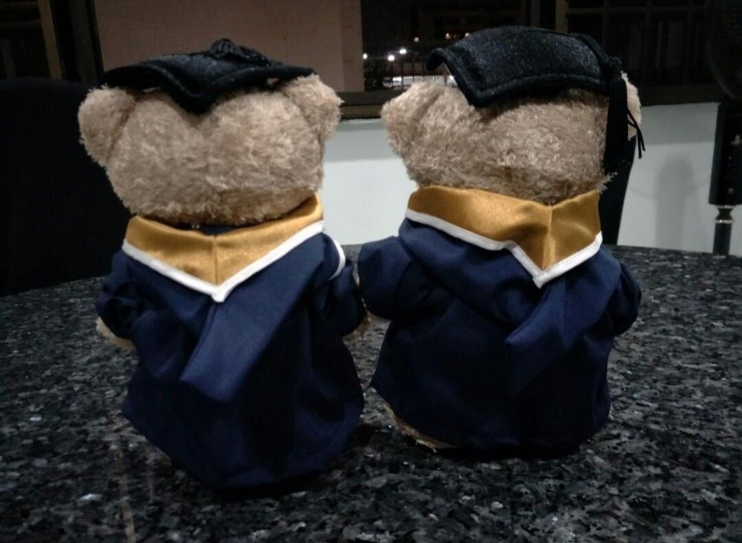 NTU Graduation Bear, Hobbies & Toys, Toys & Games on Carousell