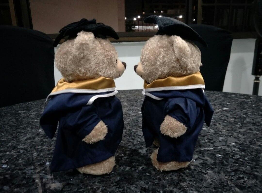 NTU Graduation Bear, Hobbies & Toys, Toys & Games on Carousell