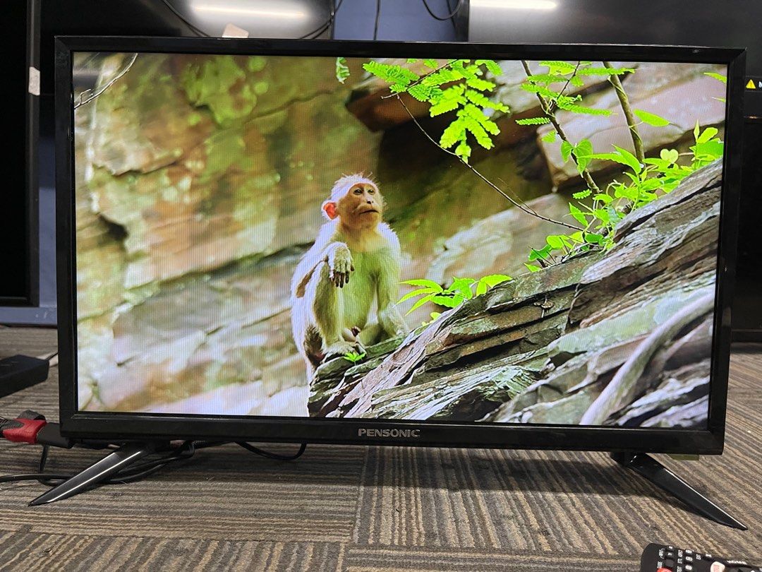 Panasonic 55 inch android 4K UHD LED (Display UNIT), TV & Home ...