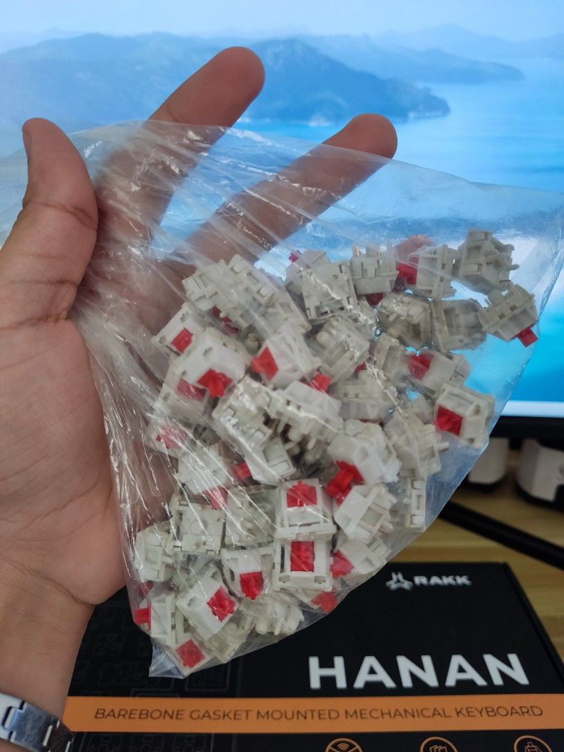 Rakk Hanan 75% Mechanical Keyboard Barebone, Computers & Tech, Parts ...