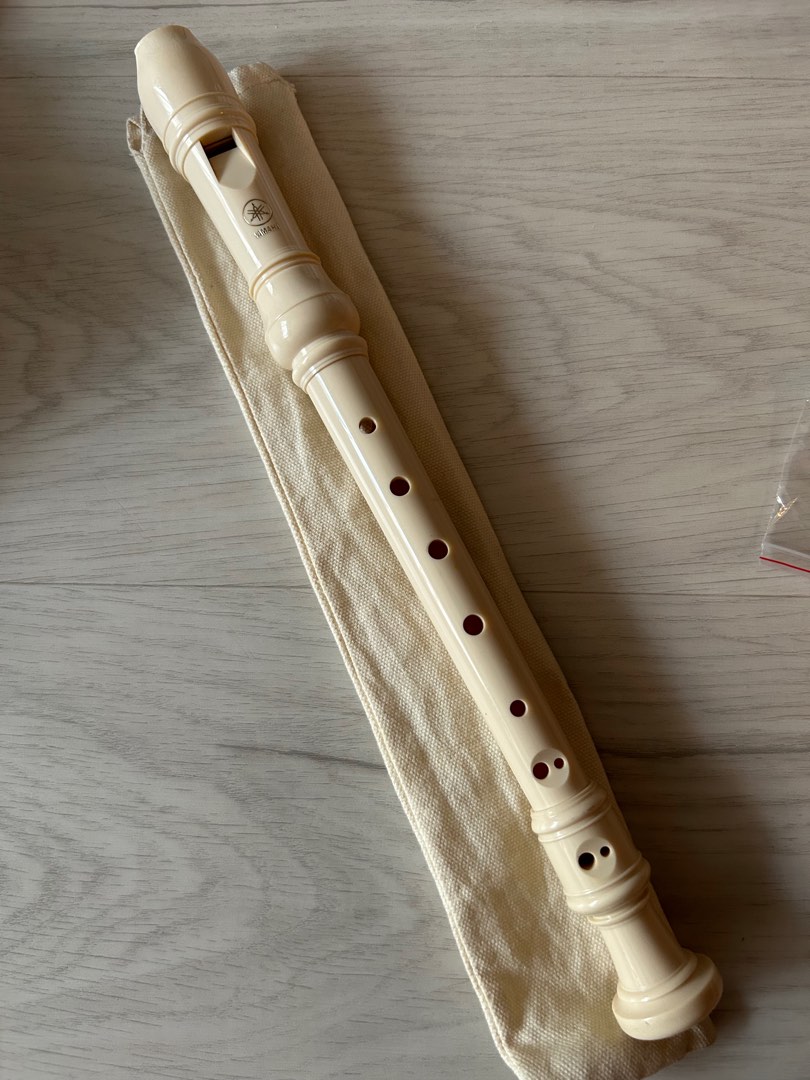 Recorder, Hobbies & Toys, Music & Media, Musical Instruments on Carousell