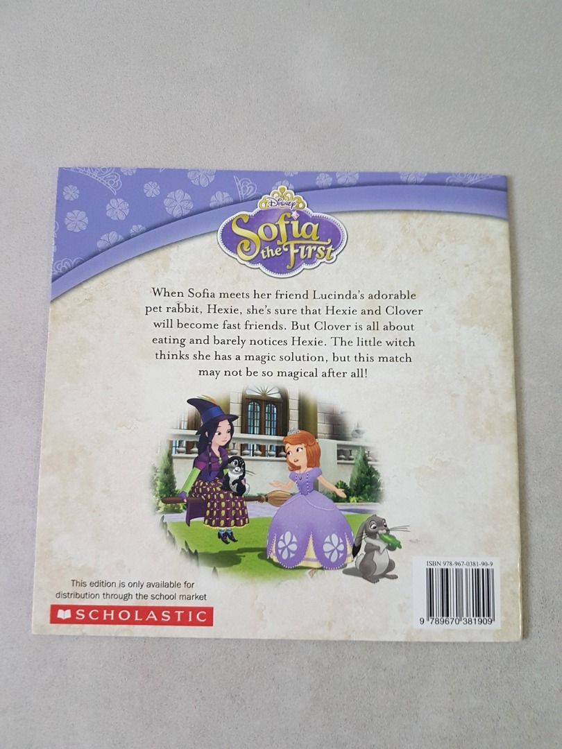 Set of 2 Scholastic Disney Princess books, Hobbies & Toys, Books ...