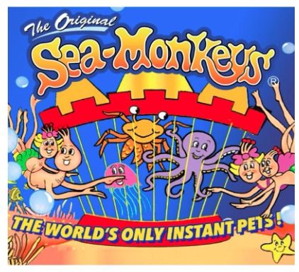 Sea Monkeys Sea Monkey Seamonkey Ocean Zoo Tank Artifical Shrimp Pet ...