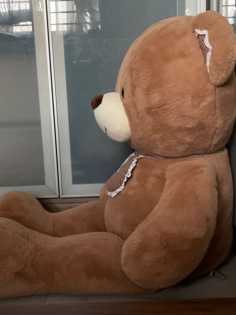 Teddy Bear plush 40cm, Hobbies & Toys, Toys & Games on Carousell