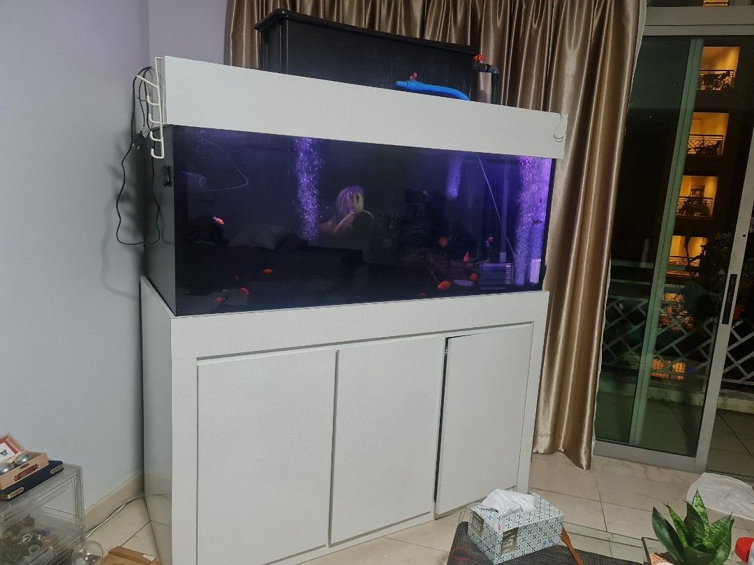 5 ft fish tank. With sump and overhead filtration, Pet Supplies, Homes ...
