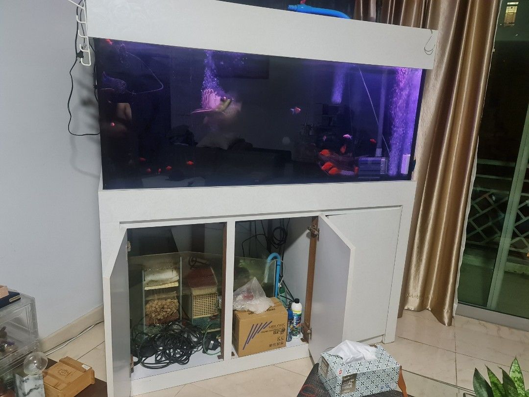 5 ft fish tank. With sump and overhead filtration, Pet Supplies, Homes ...