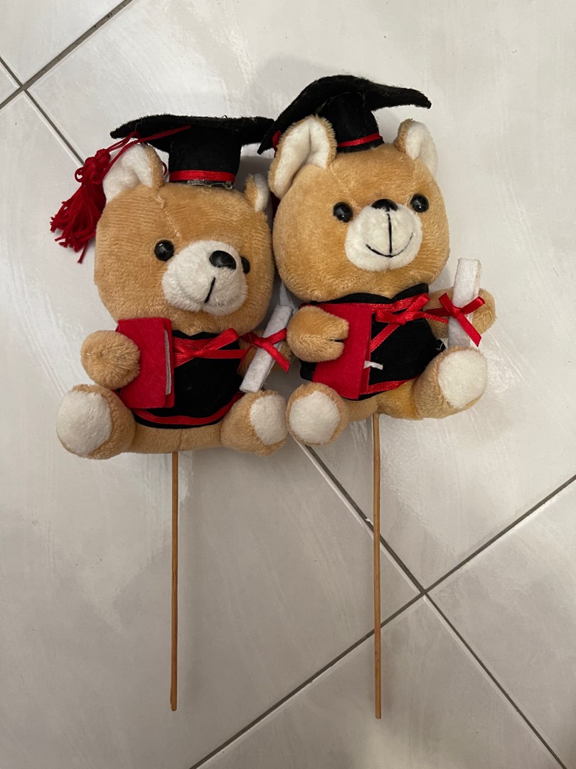 Convocation Graduation Soft Toy on Carousell