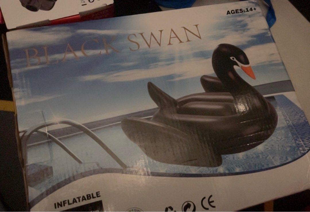 Giant Adult float Swan swimming, Sports Equipment, Sports & Games ...