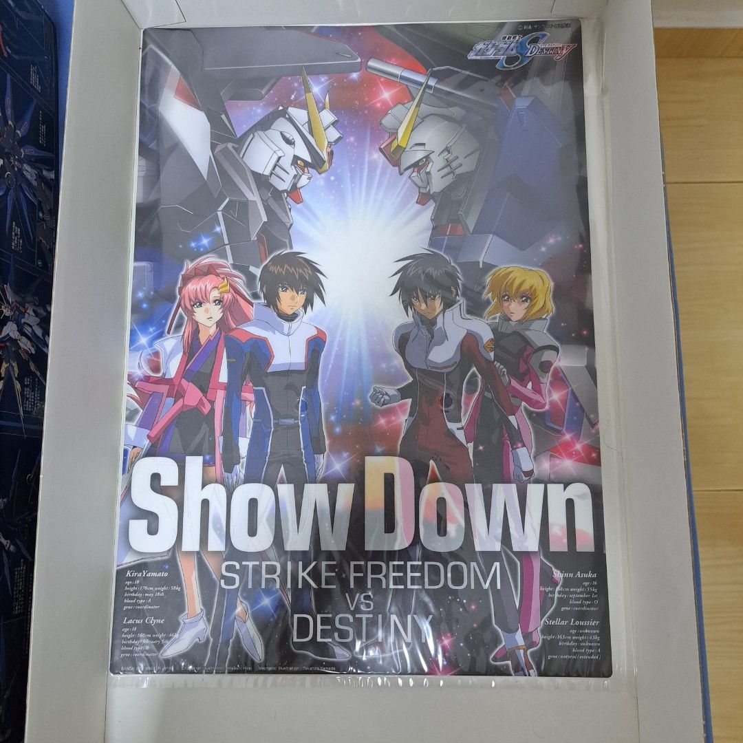 (GUNPLA) 1/100 MG Gundam Seed Destiny - Strike Freedom Gundam (Full ...