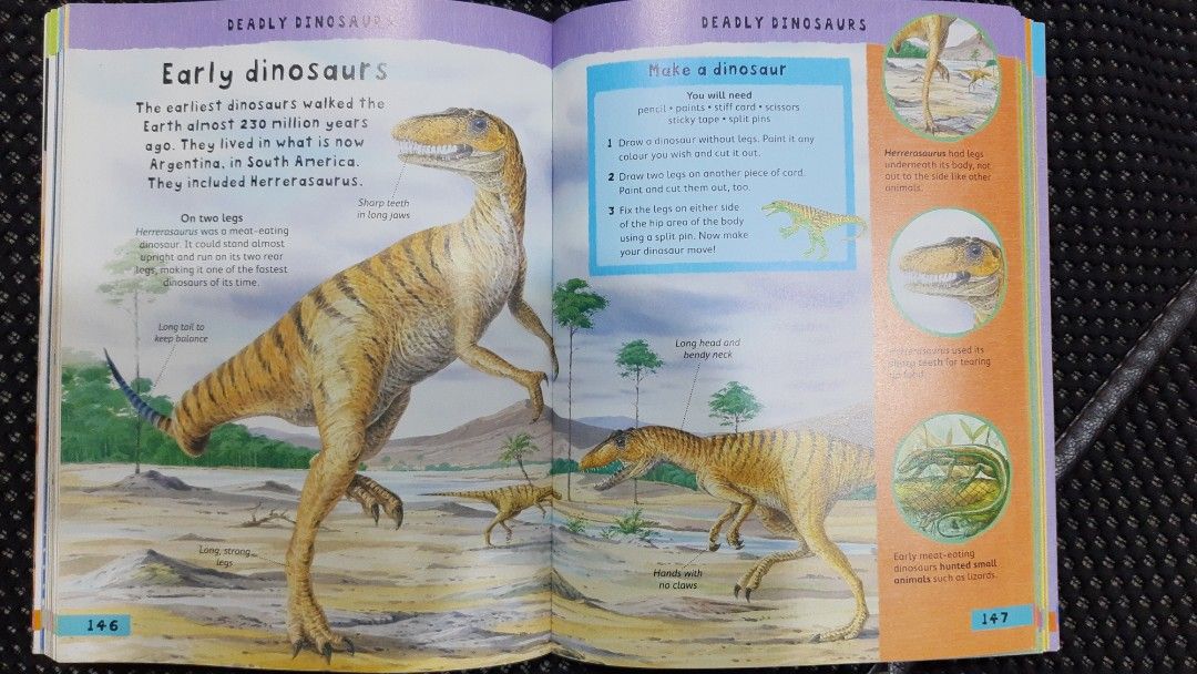 Junior Encyclopedia, Hobbies & Toys, Books & Magazines, Children's ...